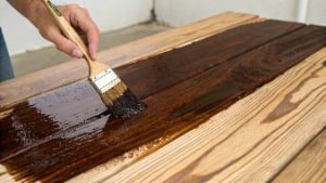 TransTint Official Website - Premium Wood Dyes